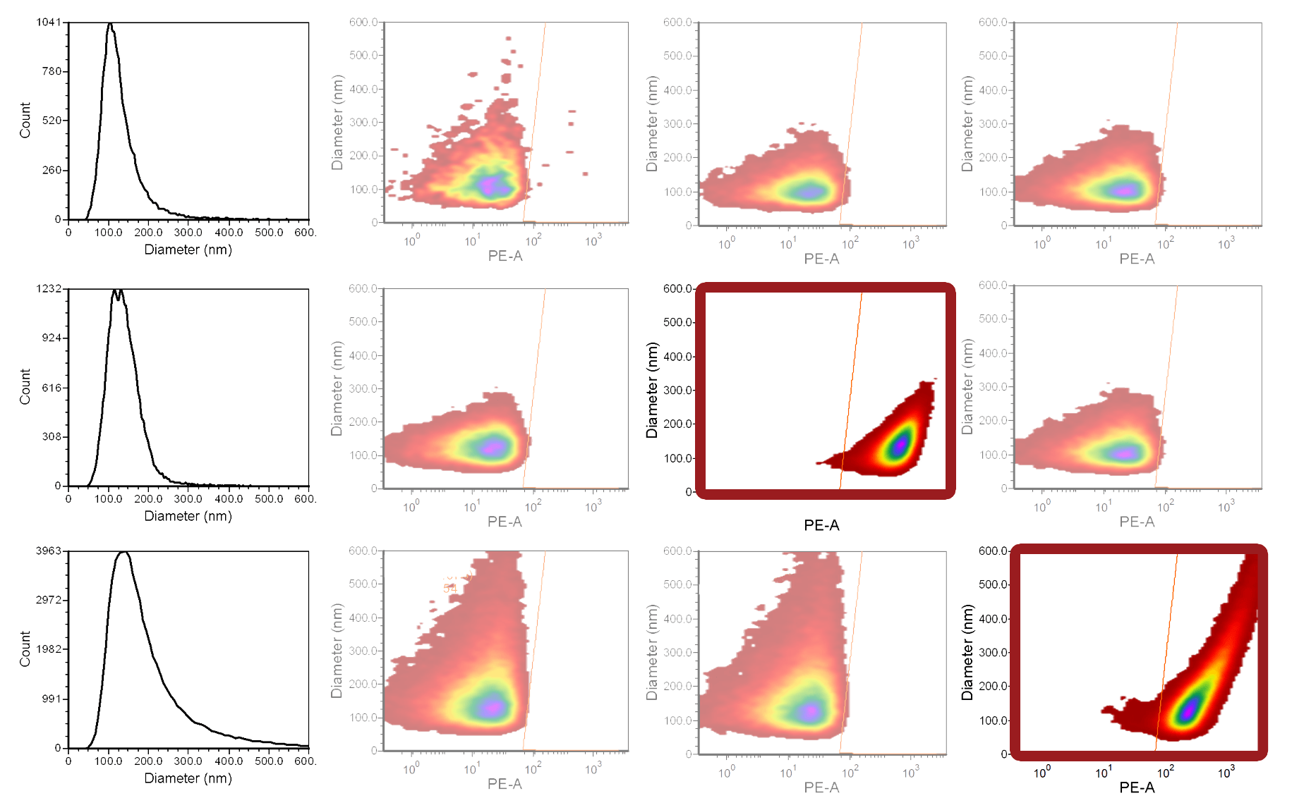 Services - Cellarcus Biosciences - The Standard in Extracellular ...